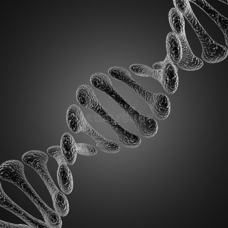 A Single DNA Scientific Illustration Stock Illustration - Illustration ...