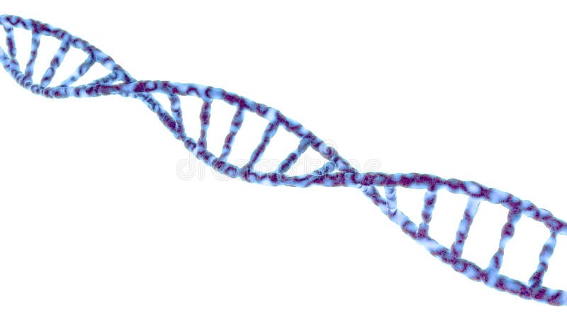 Single DNA Molecule Spiral Isolated on White Stock Illustration ...