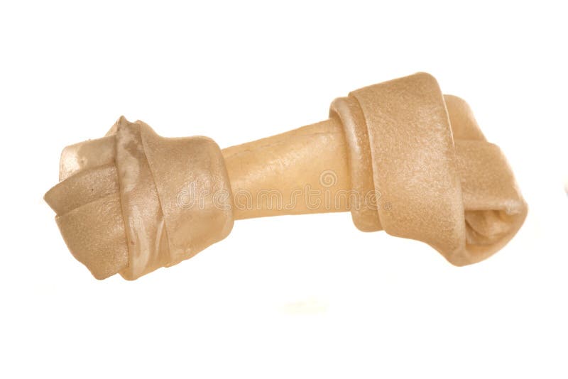 Single dog bone studio stock photo. Image of cutout, white - 62967674