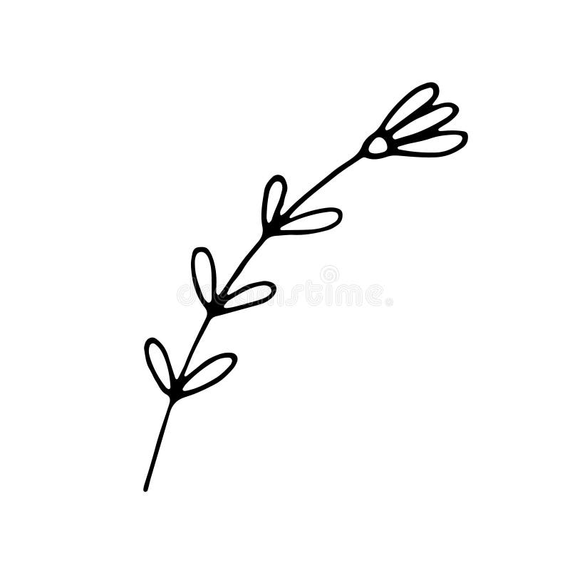 Single Doodle Leaf Isolated on White Stock Vector - Illustration of ...