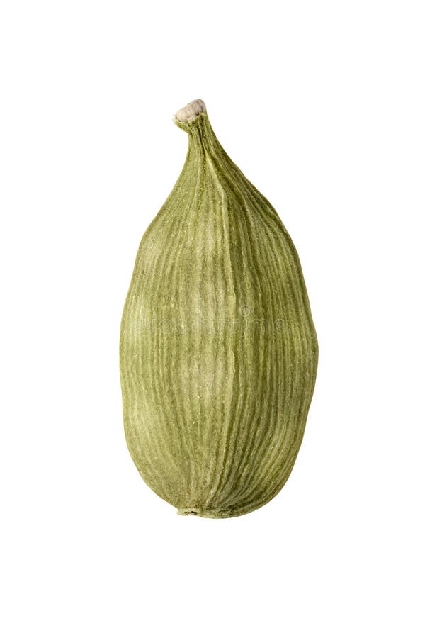 Single Dried Cardamom Seed Isolated On White Stock Image - Image of ...