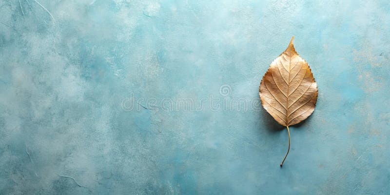 Single Dried Leaf on a Textured Blue Background. Generative AI Stock ...