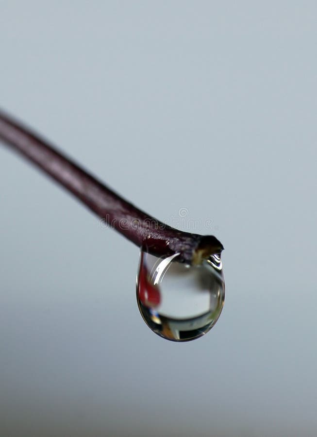 Drop Picture. Image: 1732832