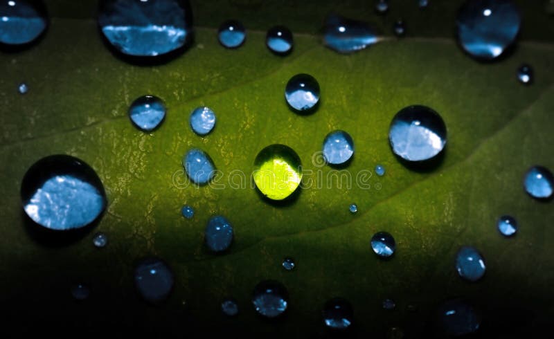 Single drop stock image. Image of garden, macro, rain - 25325291