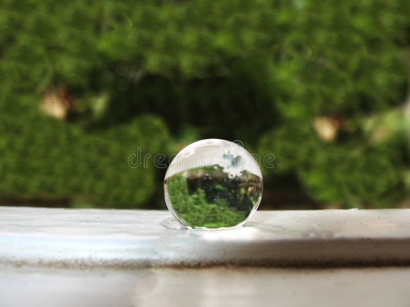 A Single Drop Picture. Image: 6259528