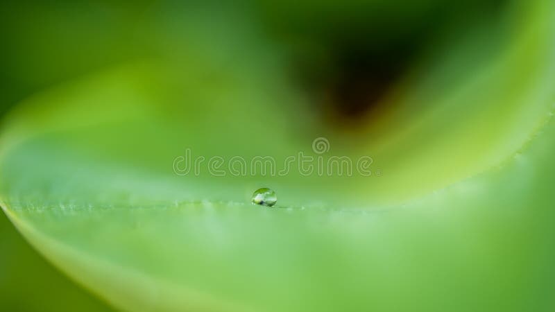Water Droplet Curved Surface Stock Photos - Free & Royalty-Free Stock ...