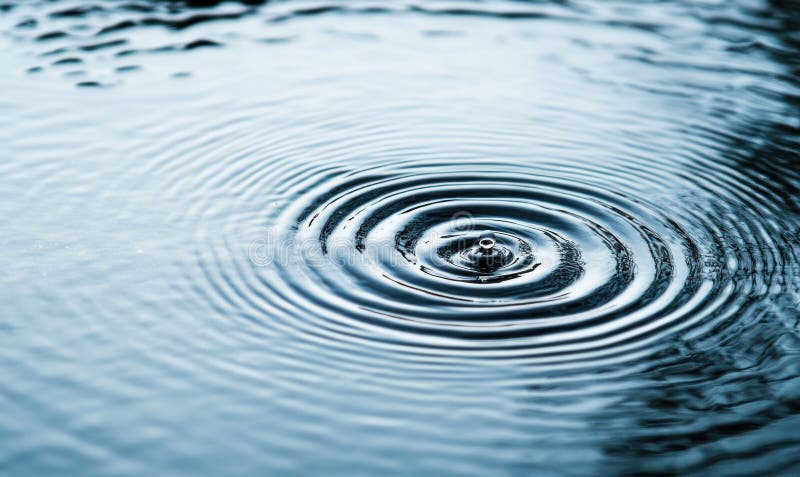 A Single Droplet Creates Mesmerizing Ripple Effects Across the Tranquil ...