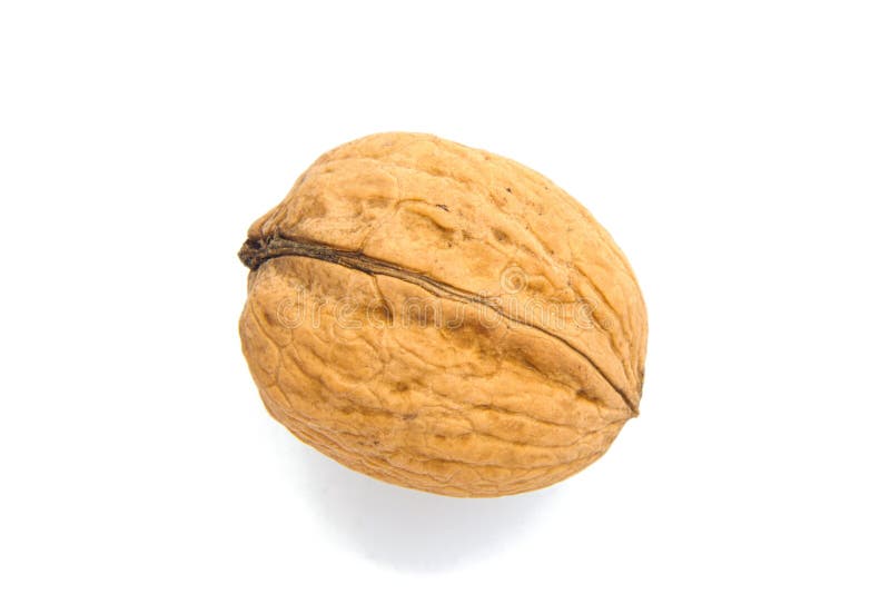 Single Dry Walnut Isolated on White Stock Image - Image of grocery ...