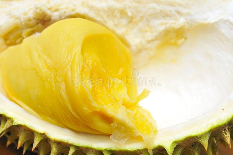 Single durian fruit stock image. Image of fresh, inside - 16390461