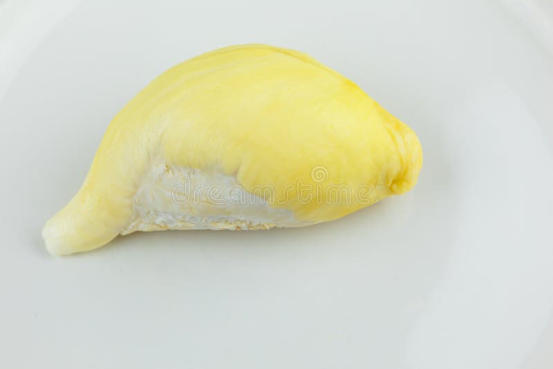 Single durian fruit stock image. Image of fresh, inside - 16390461
