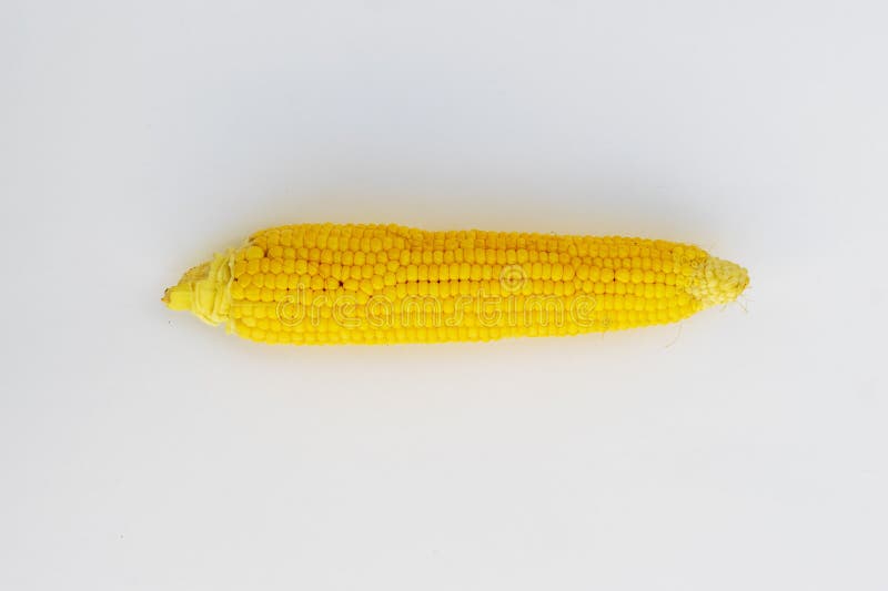 Single Ear of Corn Isolated on White Background As Package Design ...