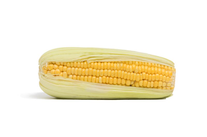 Single Ear of Sweet Corn Isolated on White Background Stock Image ...