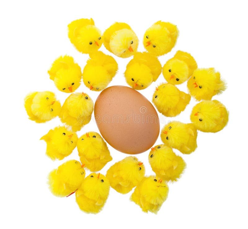 Single Easter Chick with a Large Egg Stock Image - Image of background ...