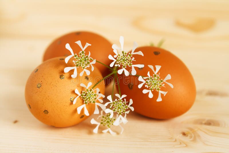 Single Easter Egg Ini the Grass Stock Photo - Image of heart ...