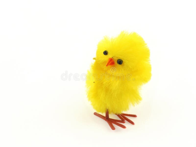 Easter chicks border stock photo. Image of funny, tradition - 50356572
