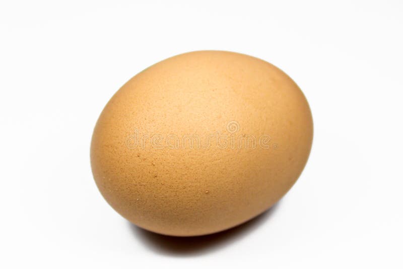 Single egg stock photo. Image of isolated, metaphor, clear - 22274106
