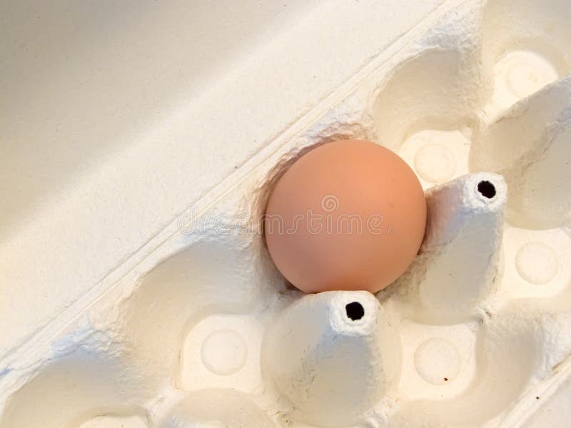Single egg stock image. Image of copy, carton, pack, organic - 4381429
