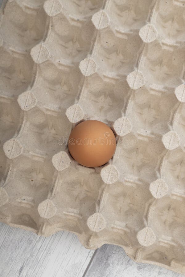 A Single Egg in Cardboard Box. To Mean a Food Concept. Stock Photo ...