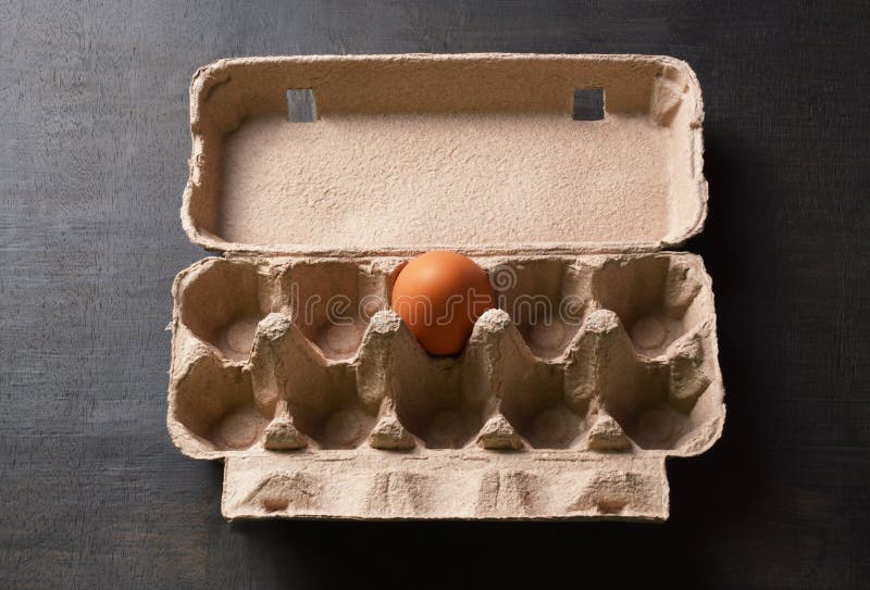 Single egg in a egg carton stock image. Image of dozen - 143116655