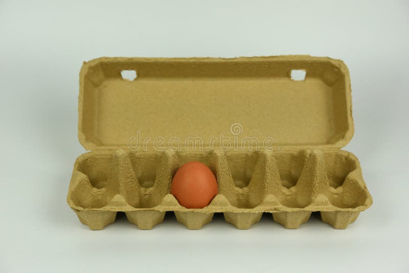 577 Single Brown Egg Carton Box Stock Photos - Free & Royalty-Free ...
