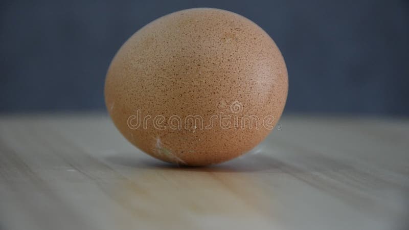 Single egg on dashboard stock footage. Video of animal - 176401144