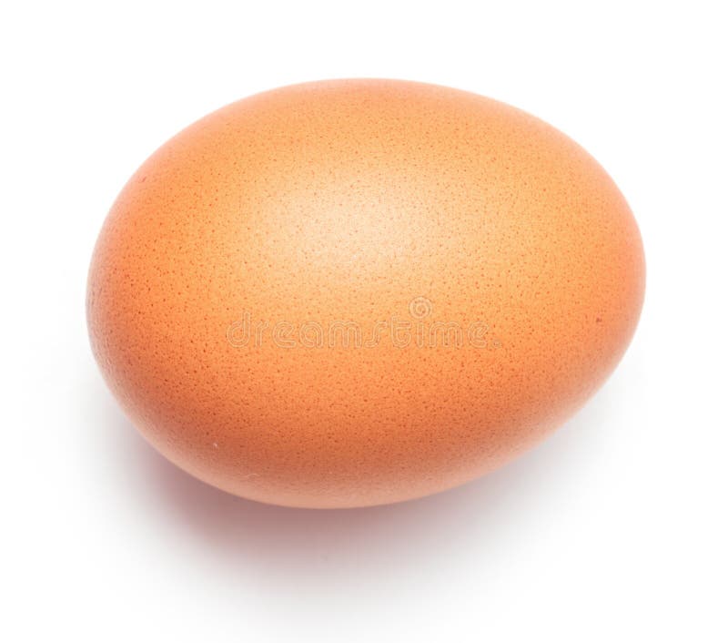 Single egg isolated stock image. Image of shell, disjunct - 144236463