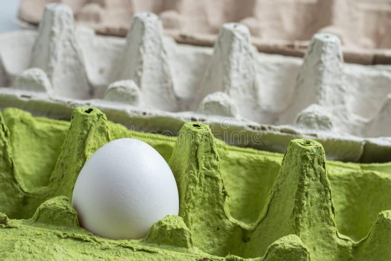 Single Egg in Paper Egg Tray Close-up. Stock Image - Image of farm ...