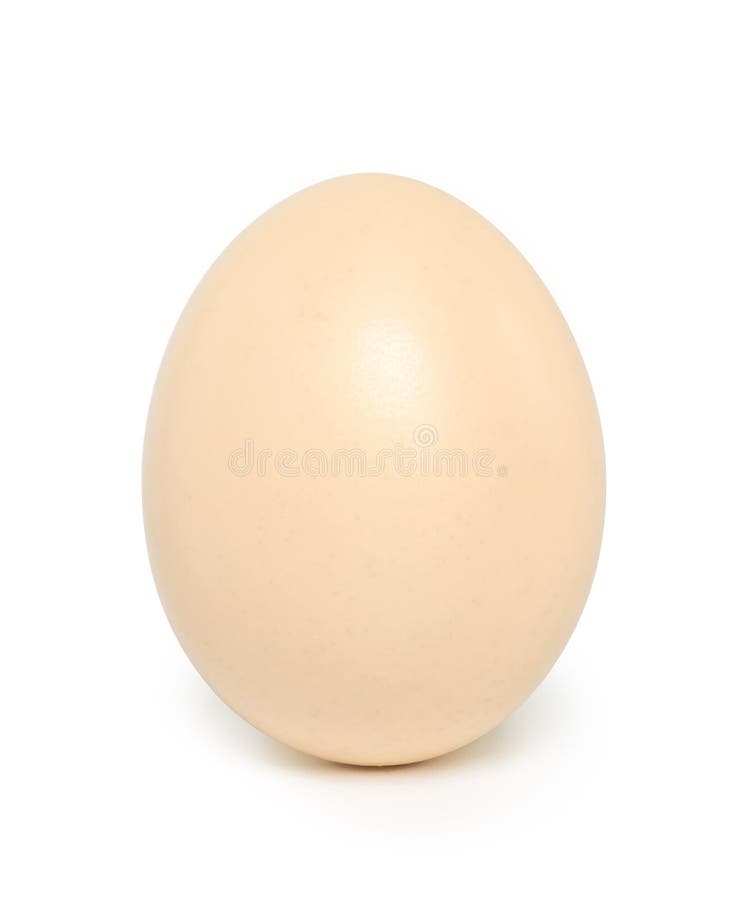 Single Egg Standing on White Background Stock Image - Image of food ...