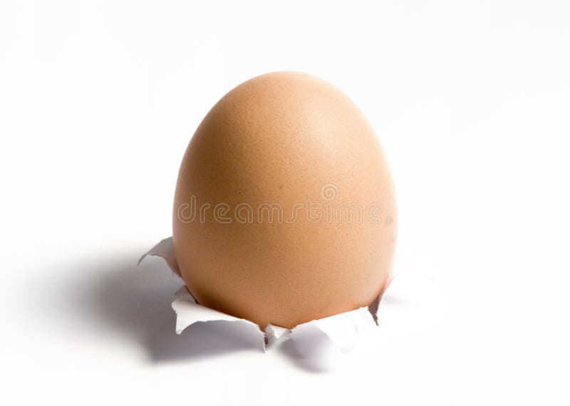 Single egg on white stock photo. Image of shell, protein - 583290