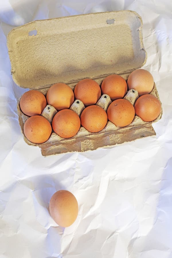 Single Egg on White Crumpled Paper with Container Full of Eggs. View ...