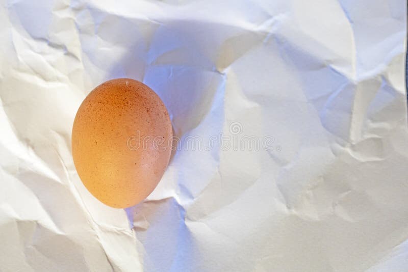 Single Egg on a White Crumpled Sheet of Paper. View from Above Stock ...