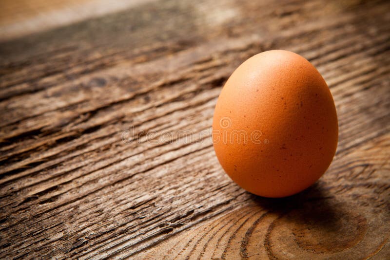 Single egg on wooden table stock photo. Image of grain - 19752142