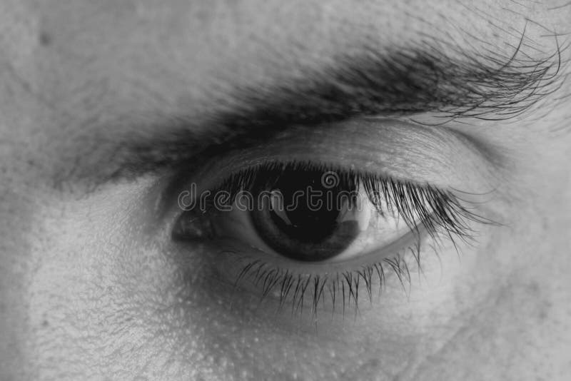 Single Eye stock image. Image of knowledge, stave, lady - 1414383