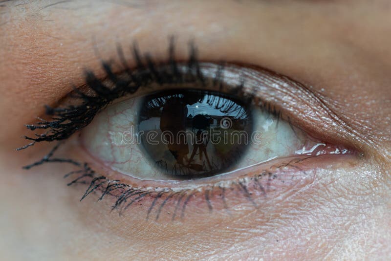 Single eye close up stock photo. Image of makeup, macro - 121471058