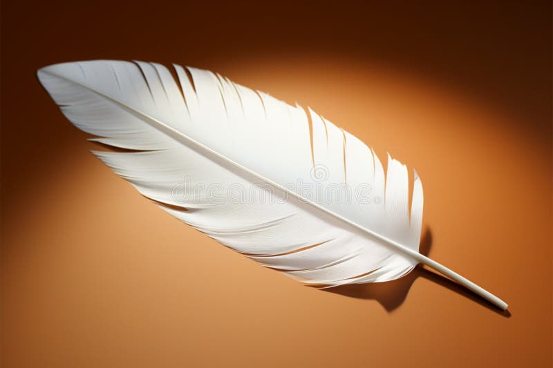 A Single Feather Adds Character To a Plain Sheet of Paper Stock ...