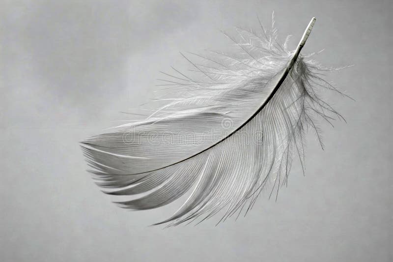 A Single Feather Floating in Mid Air Stock Illustration - Illustration ...