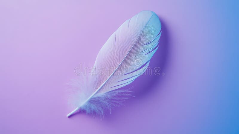 Single Feather on Gradient Background Stock Illustration - Illustration ...