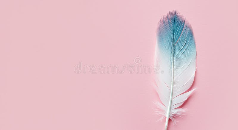 A Single Feather with a Gradient Color Transition from Blue at the Tip ...