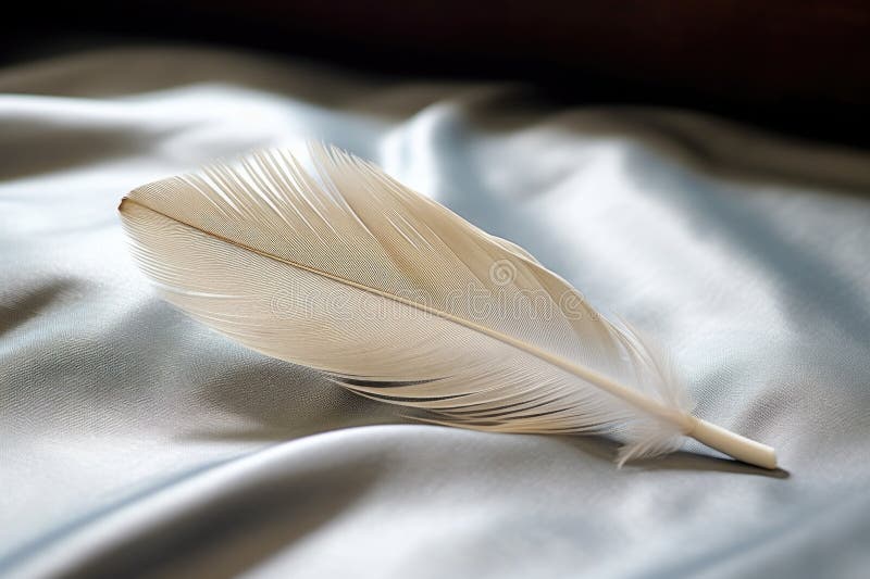 A Single Feather Placed Gently on Smooth Sheets Stock Image - Image of ...