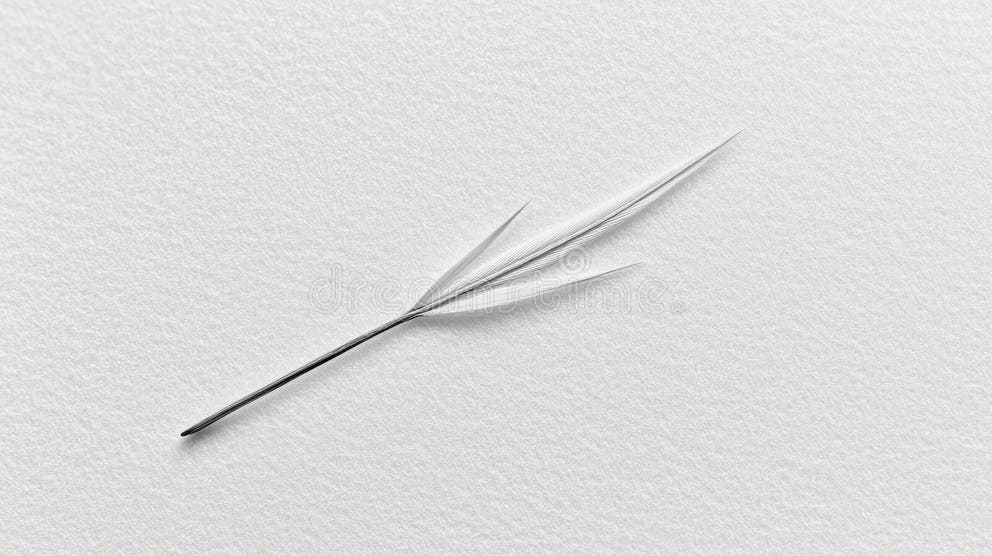 A Single Feather on a White Background. Stock Photo - Image of corner ...
