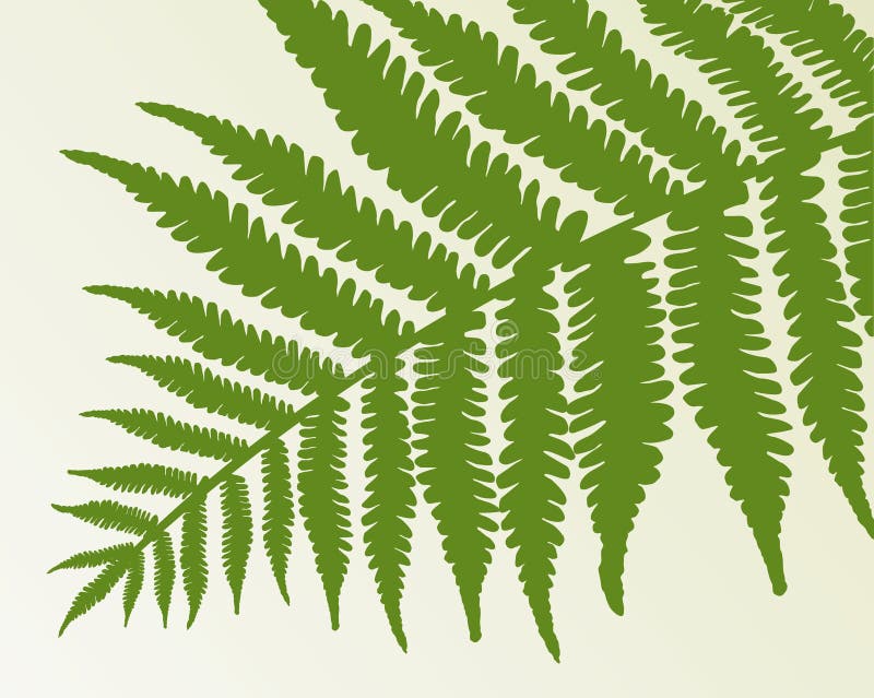 Fern Leaf Clip Art