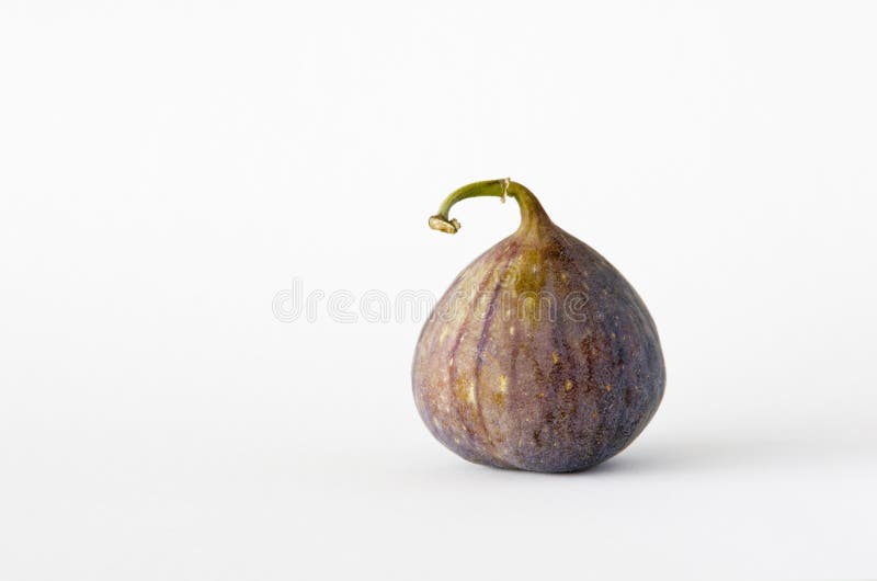 Single Fresh Fig on a White Background. Stock Photo - Image of ...