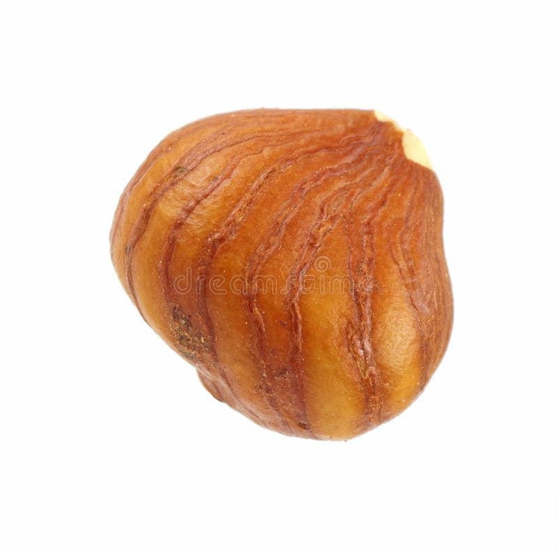 7,097 Single Nuts Stock Photos - Free & Royalty-Free Stock Photos from ...