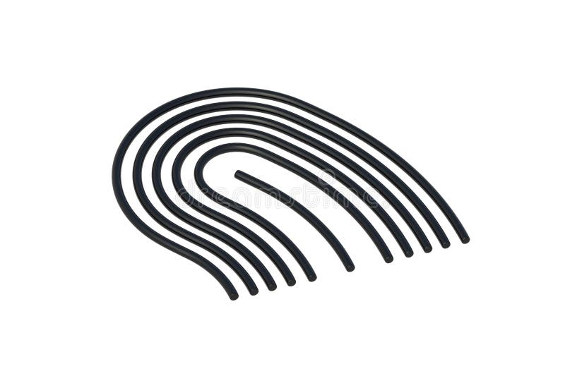 Single Fingerprint Isolated on White Background. Biometric Data Stock ...
