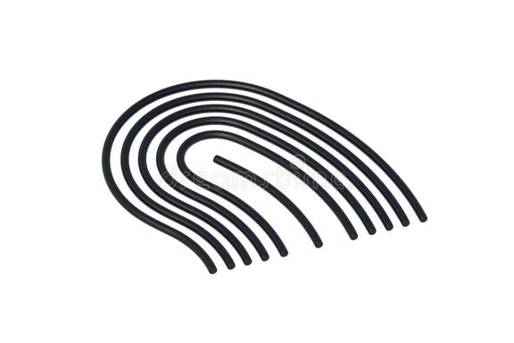 Single Fingerprint Isolated on White Background. Biometric Data Stock ...