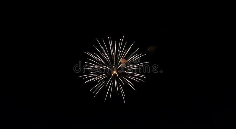 A Single Firework Explodes Against a Dark Night Sky, Creating a Radial ...