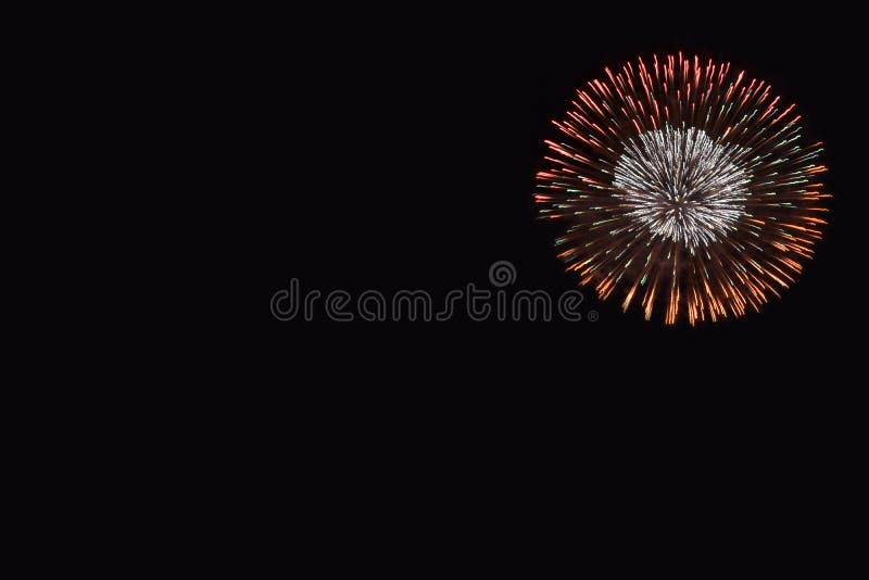 Red Firework flower stock photo. Image of flower, garden - 276744676