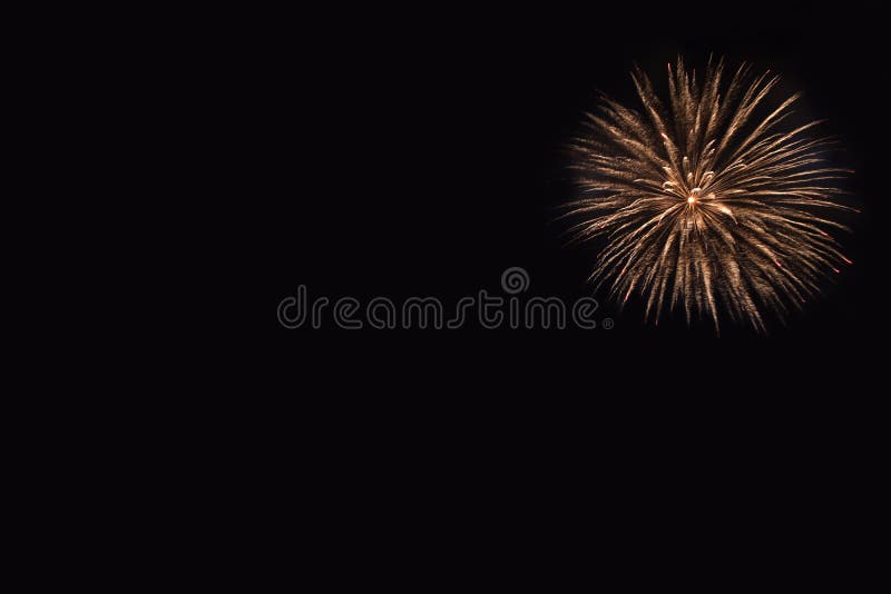 Single Firework Flower on a Dark Background. Stock Image - Image of ...