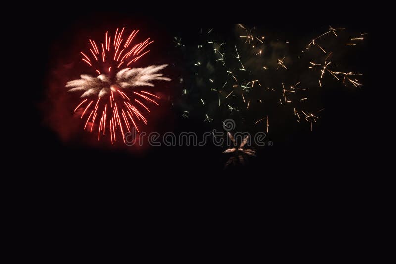 Single Firework Flower on a Dark Background. Stock Image - Image of ...