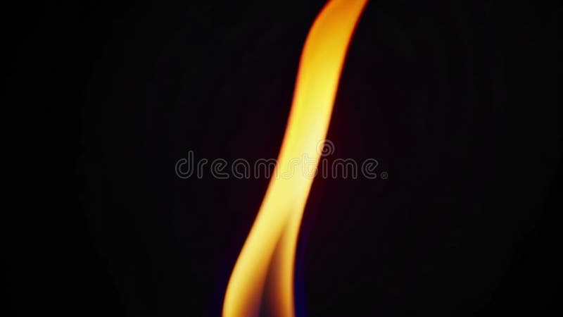 Single Flame Against Black Background, Abstract Light Concept Stock ...